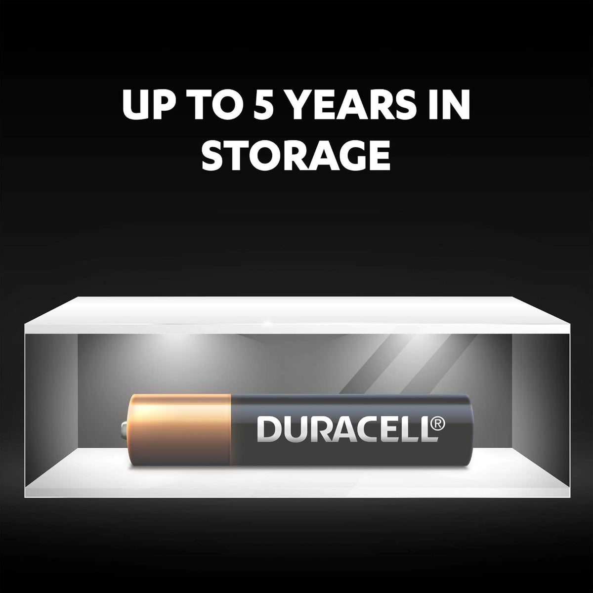 Duracell AAAA Alkaline Batteries MN2500 1.5V - Multi Battery Packs ...